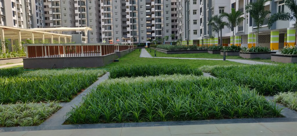 RAIN TREE PARK - Envision Landscape architects